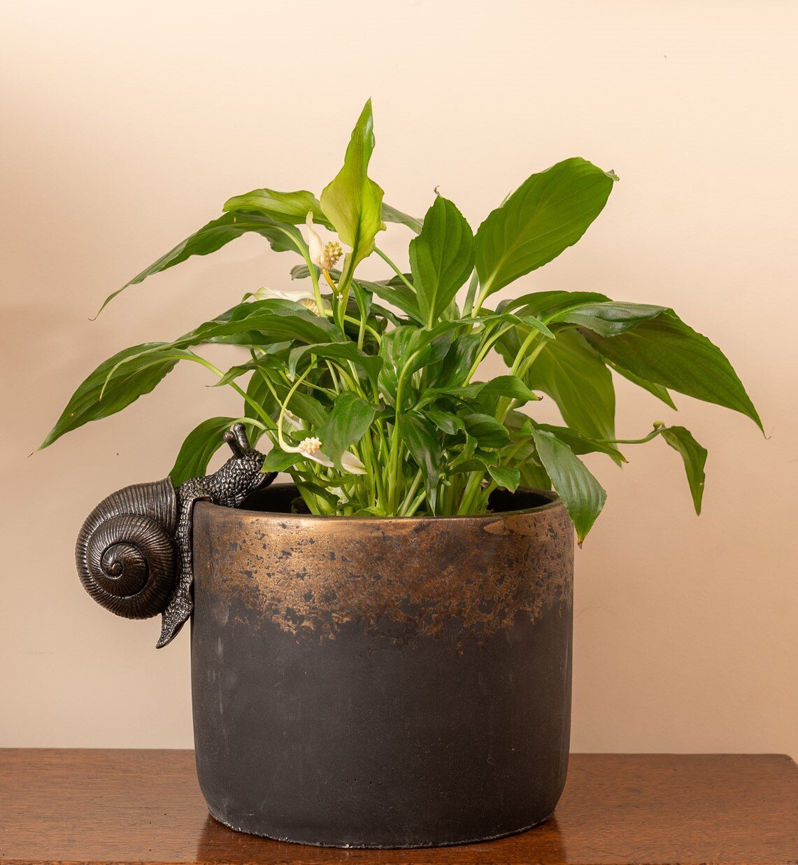 Snäckan Pot Buddy - Green Go Smart